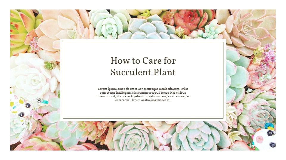 Succulent Plant PowerPoint to Google Slides