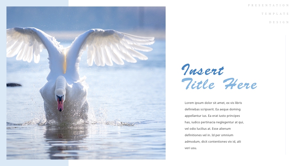 A Flying Bird PPTX Keynote|Lifestyle