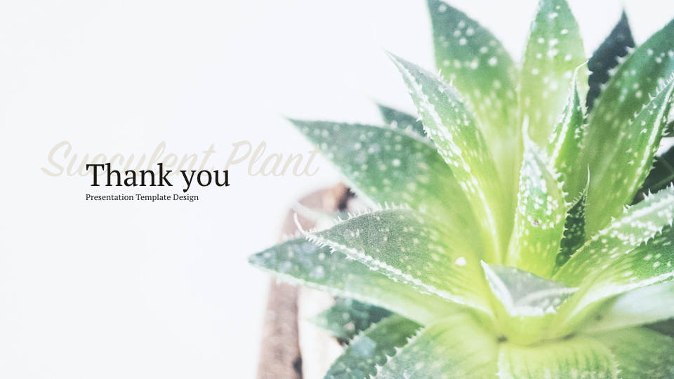 Succulent Plant Keynote for Windows|Lifestyle