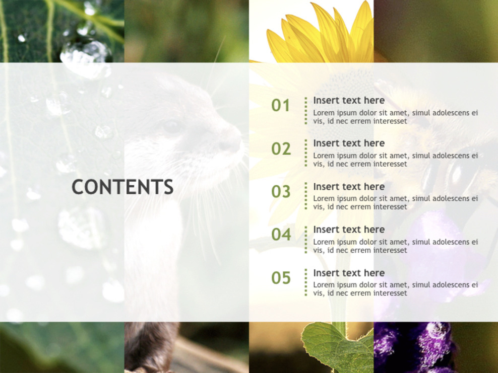 Free Keynote Templates - coexistence with nature