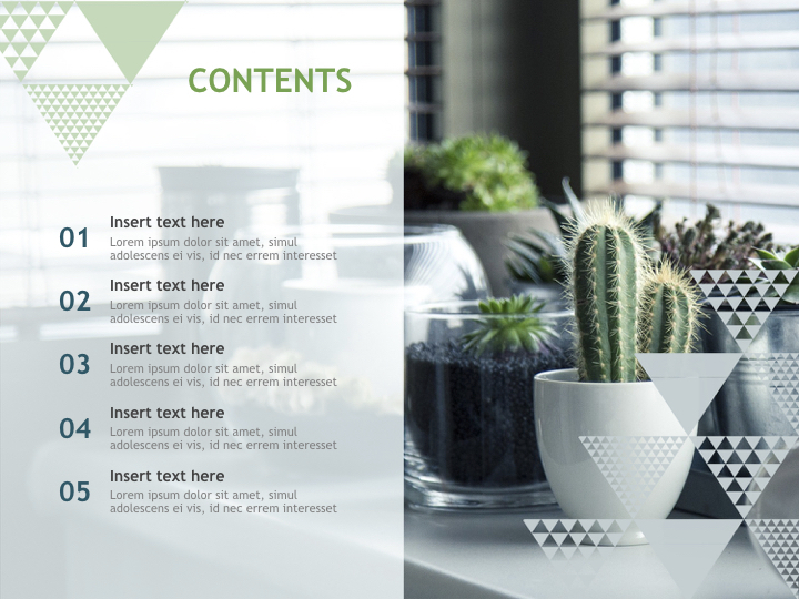 cactus pot - Keynote Template Free|Slides