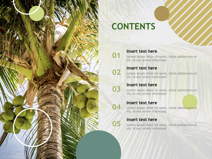 coconut tree presentation template