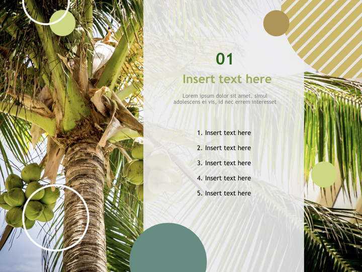 coconut tree presentation template