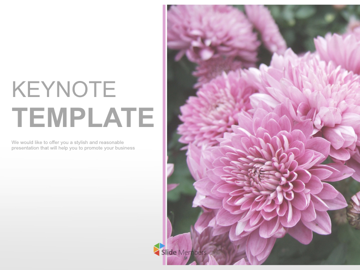 Chrysanthemum - Free Professional Keynote Templates|Slides