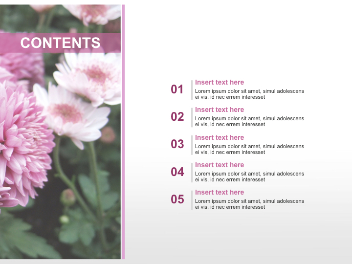 Chrysanthemum - Free Professional Keynote Templates|Slides