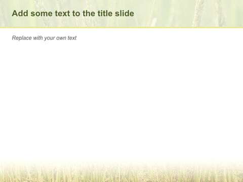 Free Images for Presentations - Ripening Rice on the Field|Keynote|Slides