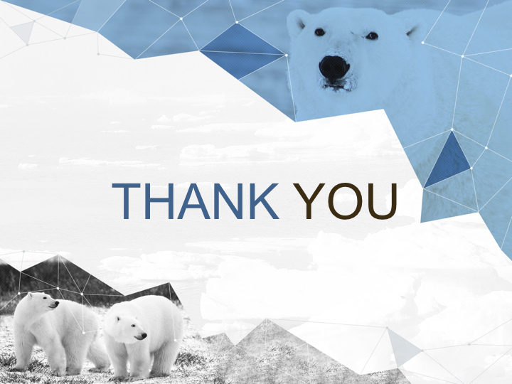 Plantilla De Oso Polar