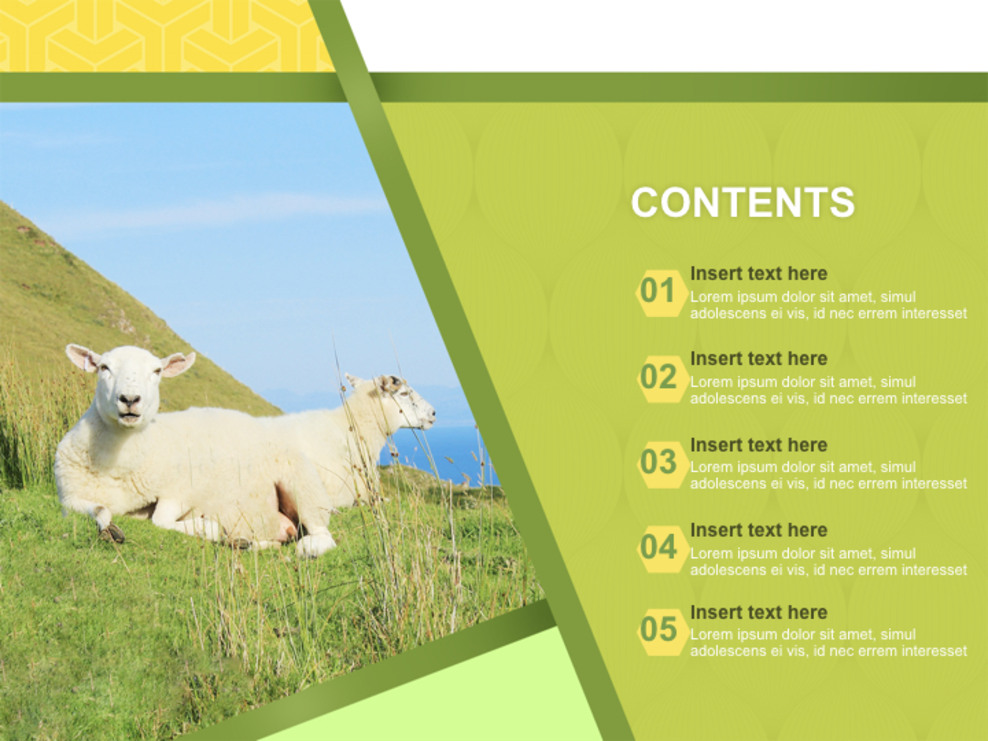 Keynote Free - A Heaf|Slides