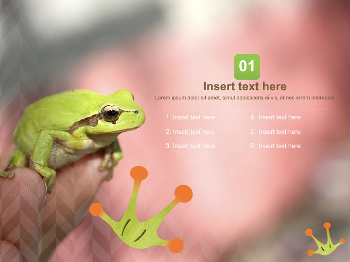 Frogs in Spring - Keynote Template Free|Slides