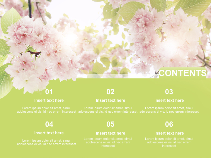 Spring Flowers - Free Keynote Template Download