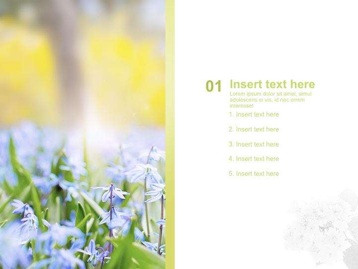 Spring Flowers - Free Keynote Template Download