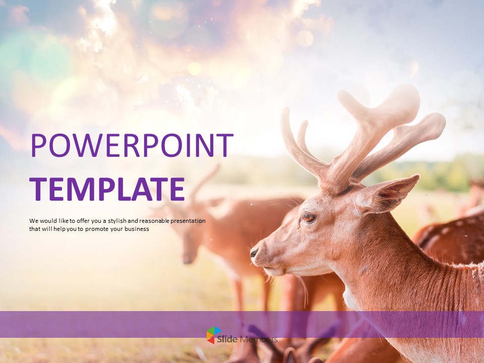 Deer - PowerPoint Free