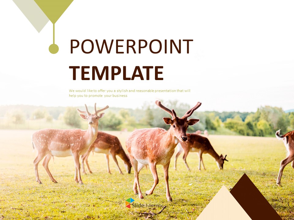 Deer on Grassland - Free Powerpoint Template