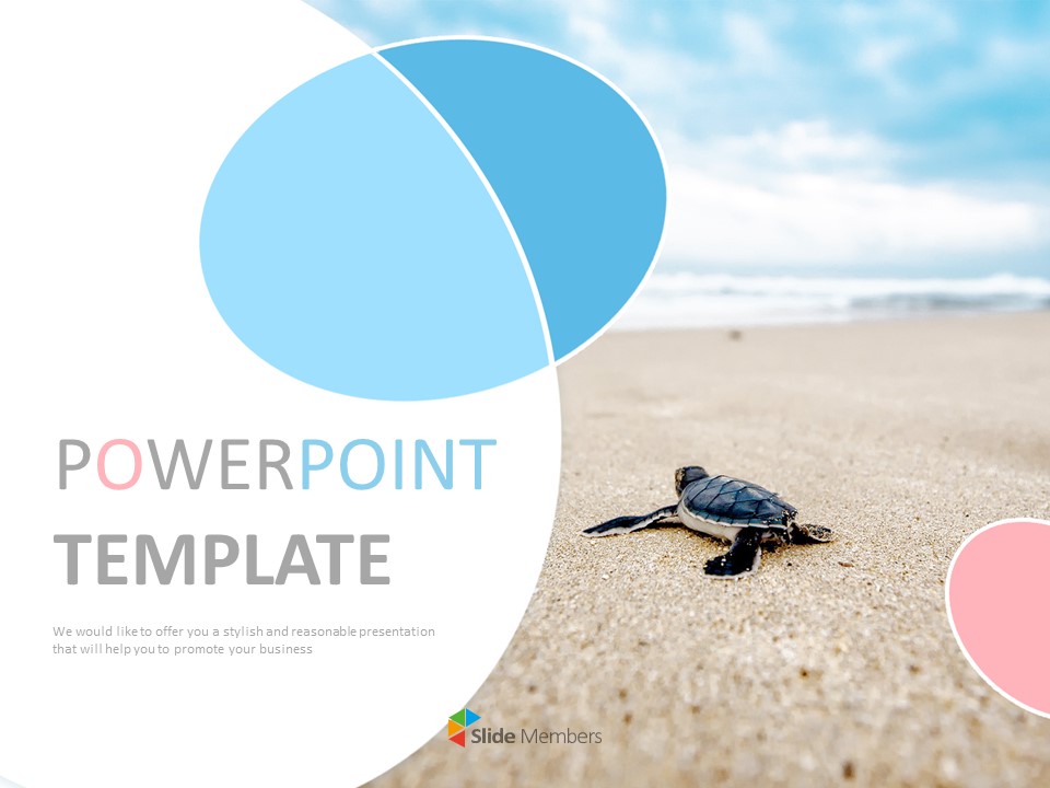 Free Images for PowerPoint - A Turtle Going to the Sea|Templates|Slides