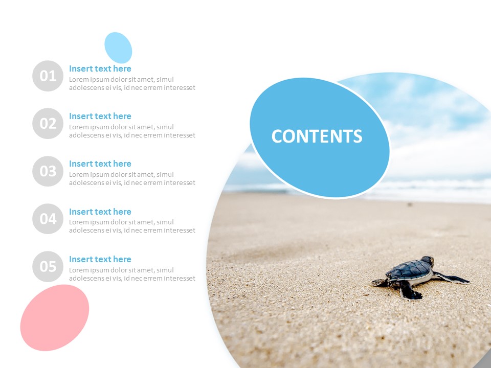 Free Images for PowerPoint - A Turtle Going to the Sea|Templates|Slides