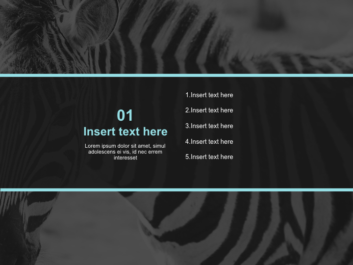 Free Images for Presentations - ZebrA|Keynote|Slides