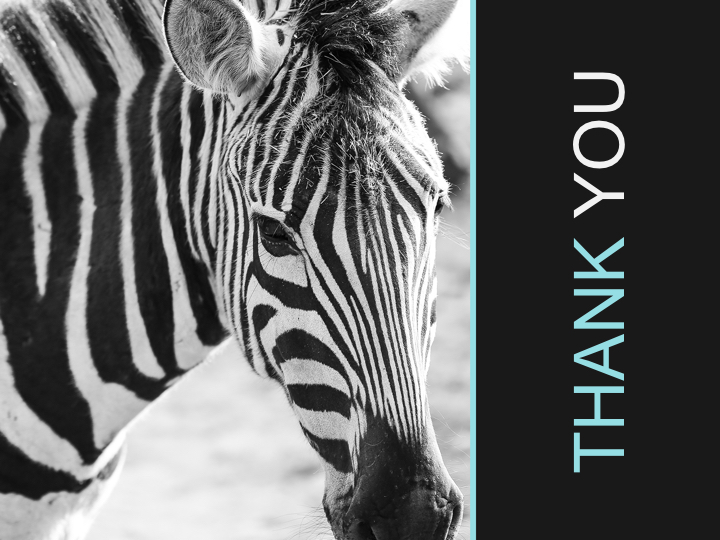 Free Images for Presentations - ZebrA|Keynote|Slides