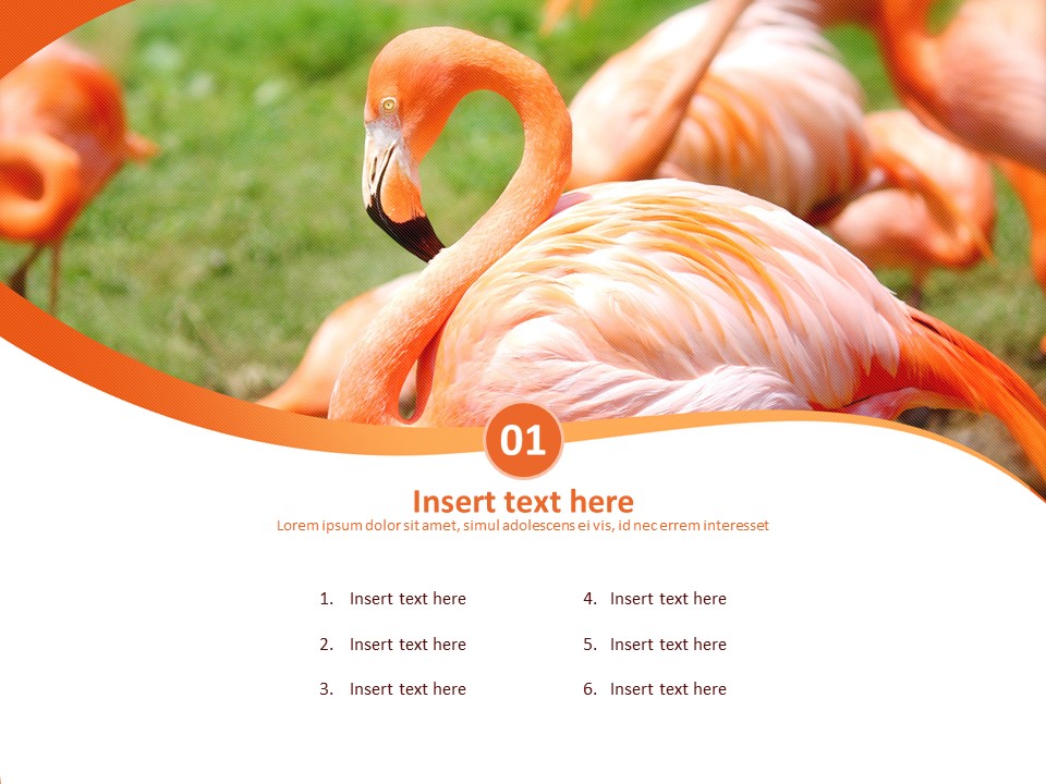 Free PPT Design - Flamingo