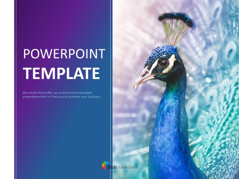 Peacock - PPT Download Free