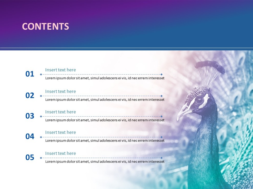 Peacock - PPT Download Free