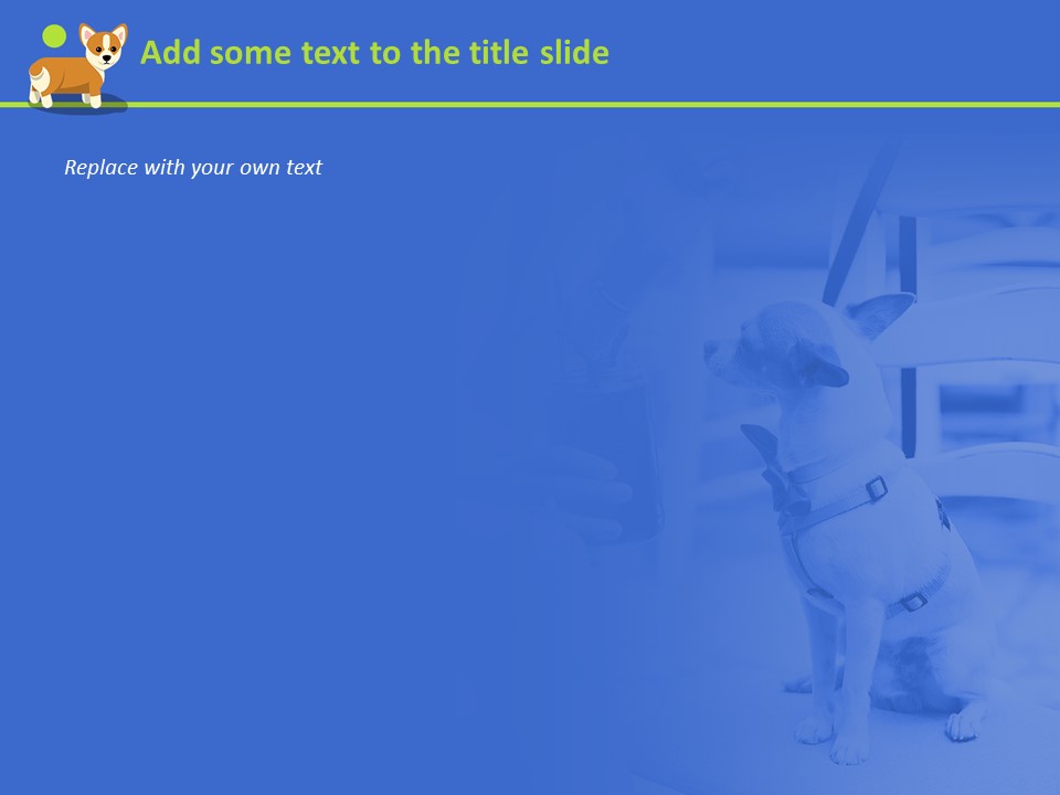 Pets - PPT Free Download