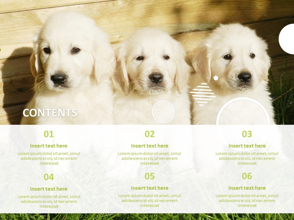 White Dogs - Free PPT Design