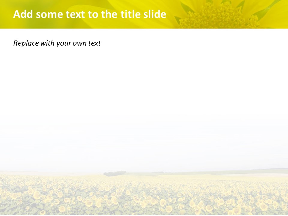 Free Template Design - Sunflower Field|PPT|Slides