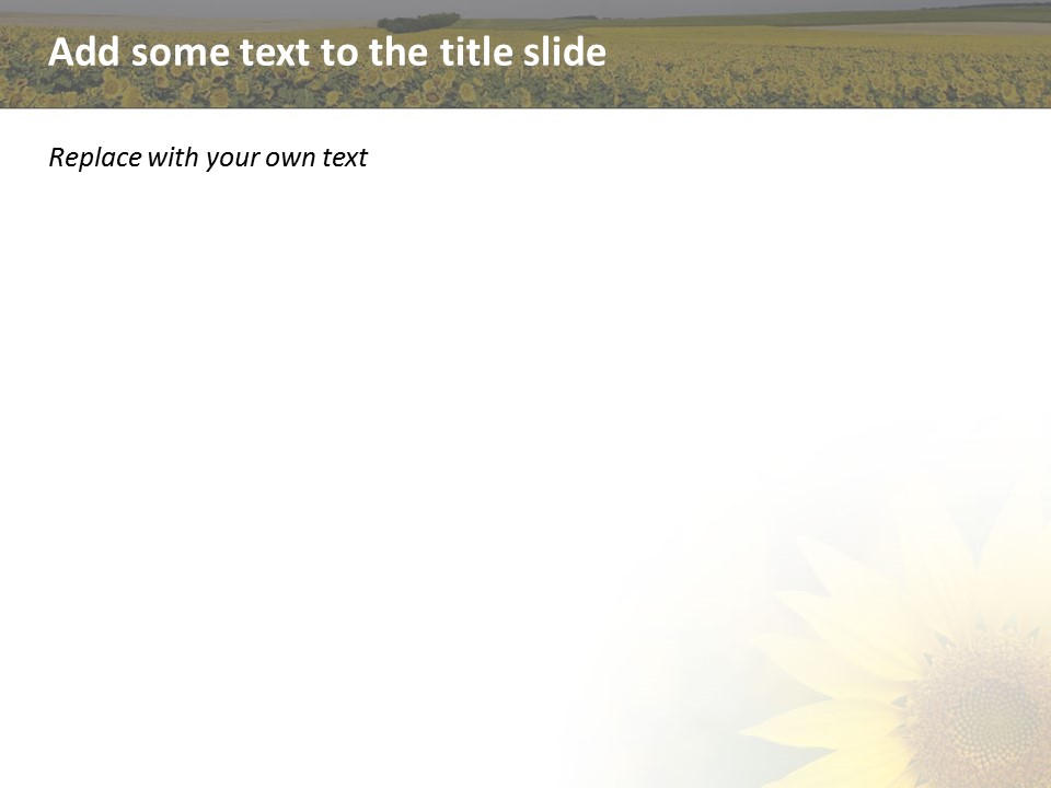 Free Template Design - Sunflower Field|PPT|Slides