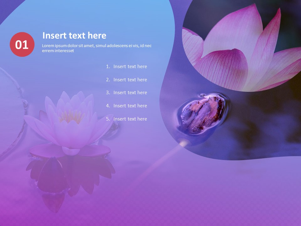 PowerPoint Free - Lotus flower in the lake