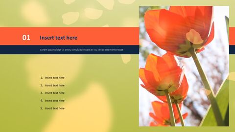 PPT Free Download - Tulip