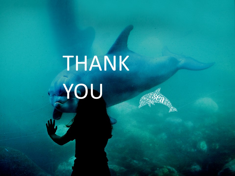 돌고래 - PPT 무료 다운로드