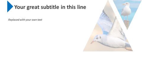 Free PPT Presentations - Seagull