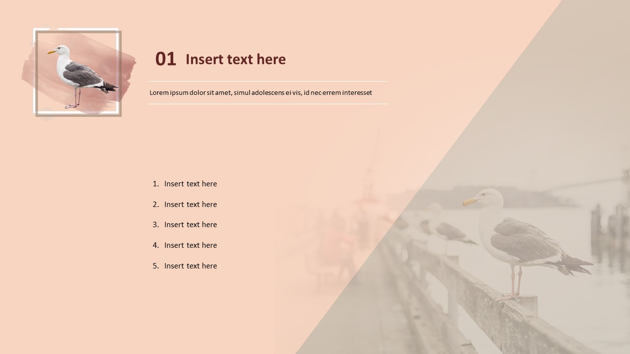 Seagull - PPT Free Download|Templates|Slides