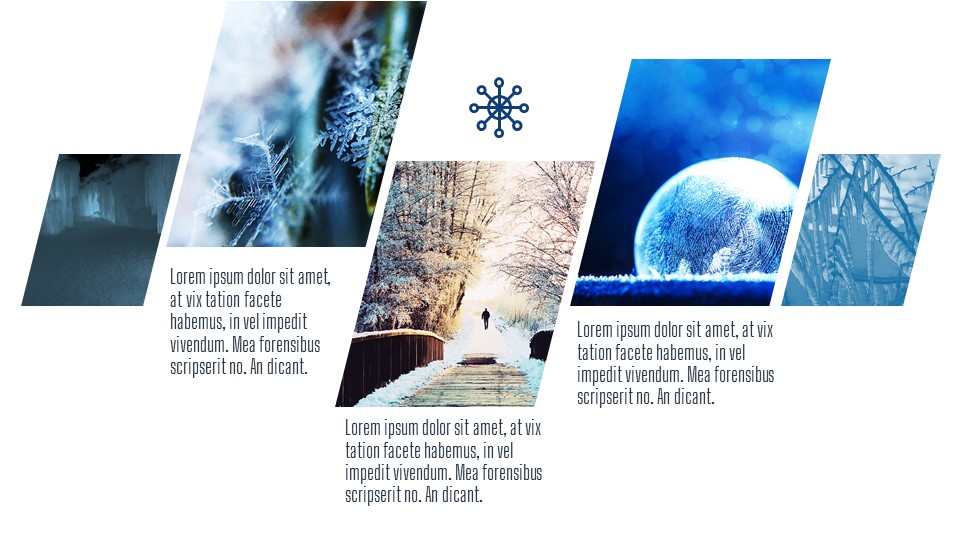 Snowflake Google Presentation Templates