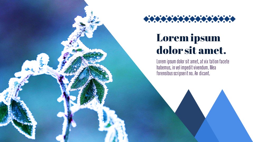 Snowflake Google Presentation Templates