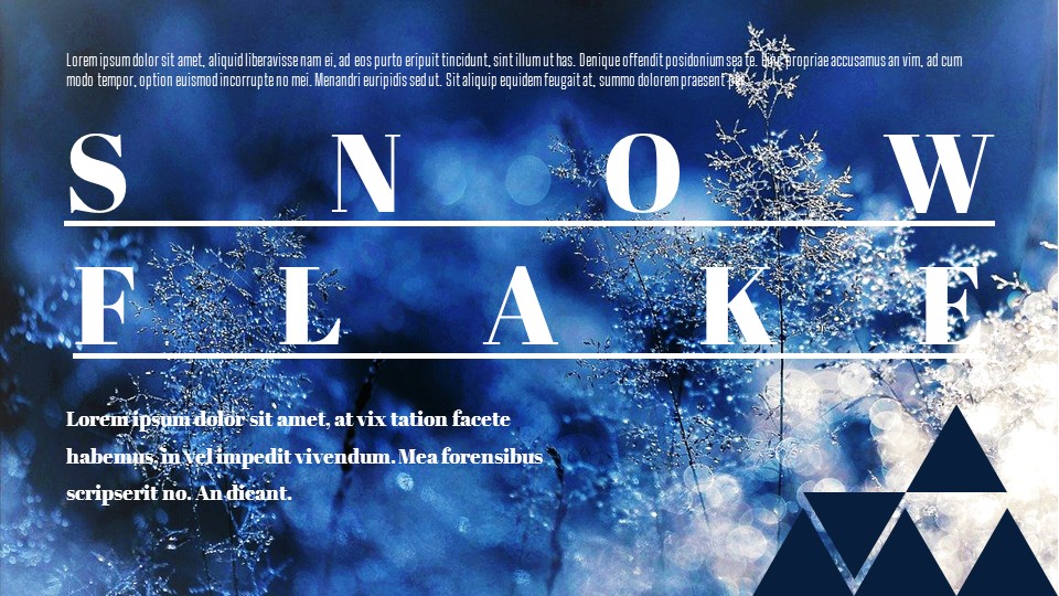 Snowflake Google Presentation Templates