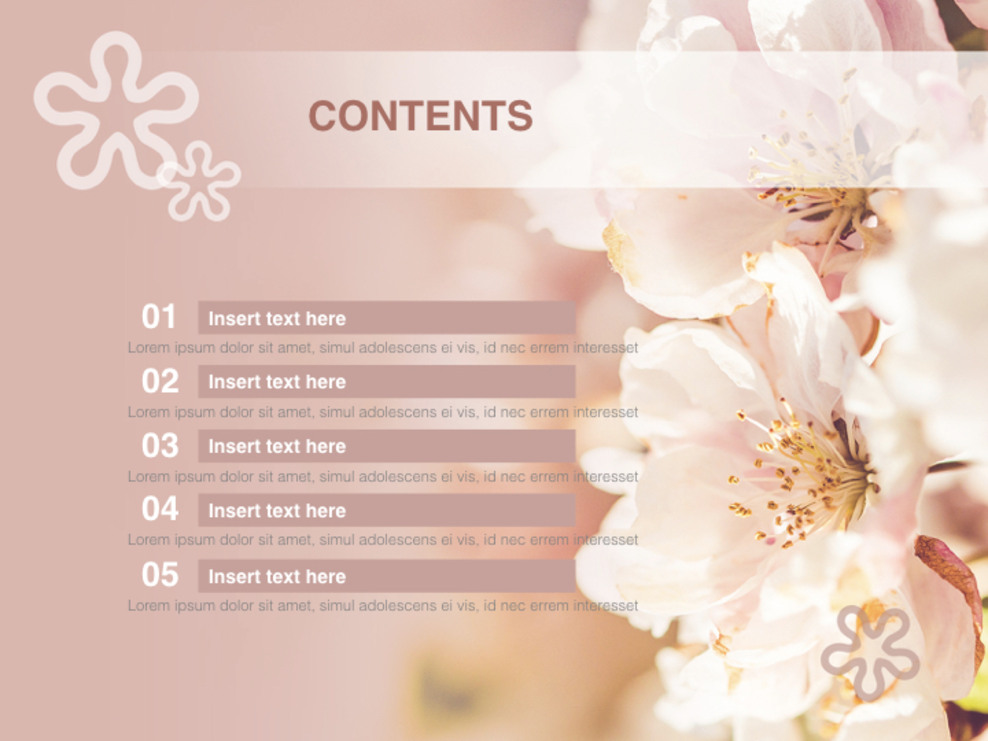 Keynote online Free - Colorful Spring Flowers|Slides
