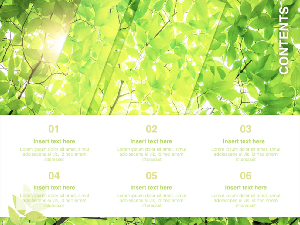June Fresh Leaves - Free Keynote Template