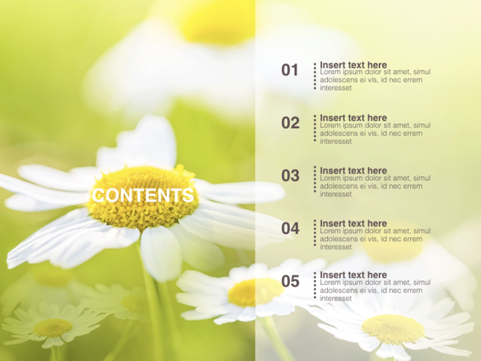 Wild Flowers - Free Keynote Template Design|Slides