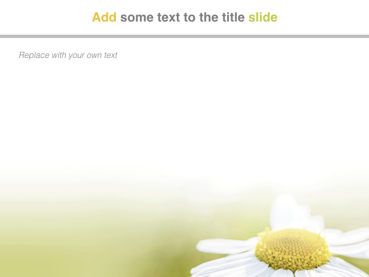 Wild Flowers - Free Keynote Template Design|Slides
