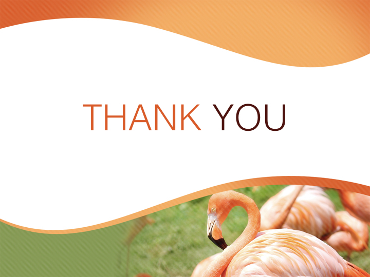 Free Presentation Templates - Flamingo