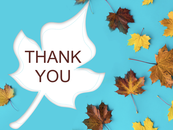 Free Images for Presentations - Vivid Fallen Leaves|Keynote|Slides