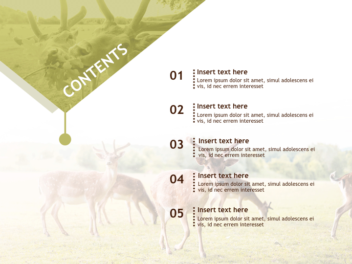 Free Presentation Templates - Deer on Grassland|Keynote|Slides