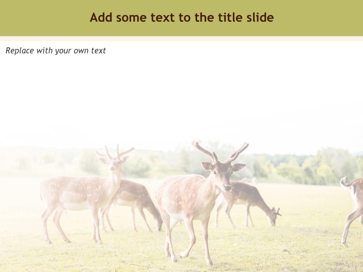 Free Presentation Templates - Deer on Grassland|Keynote|Slides