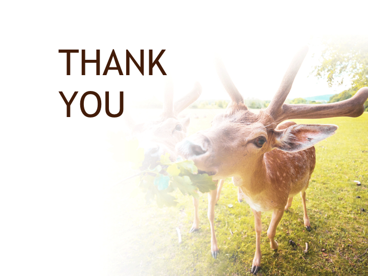 Free Presentation Templates - Deer on Grassland|Keynote|Slides