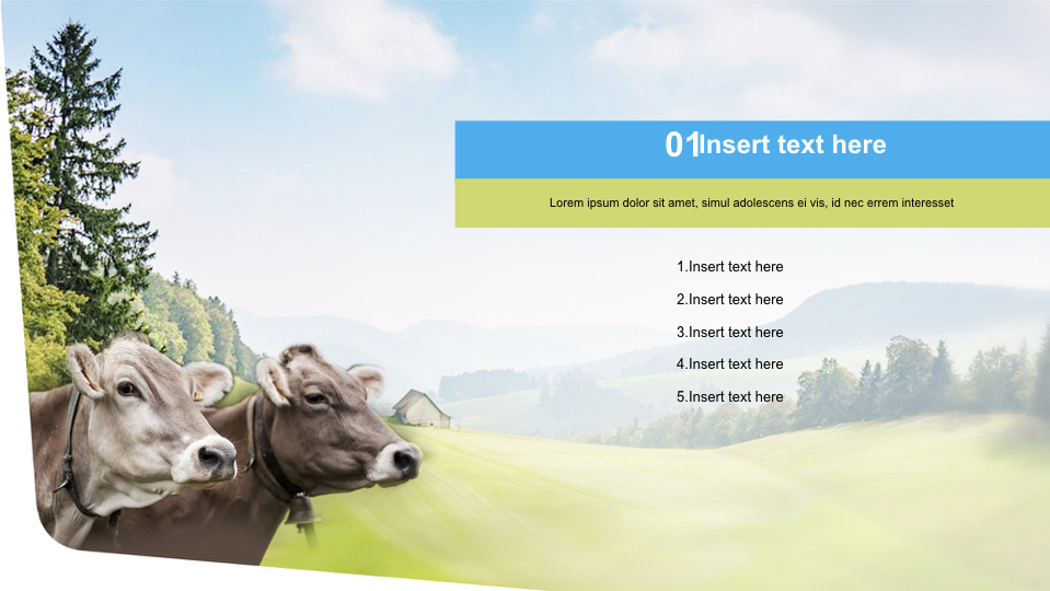 Dairy Farming - Free Presentation Templates