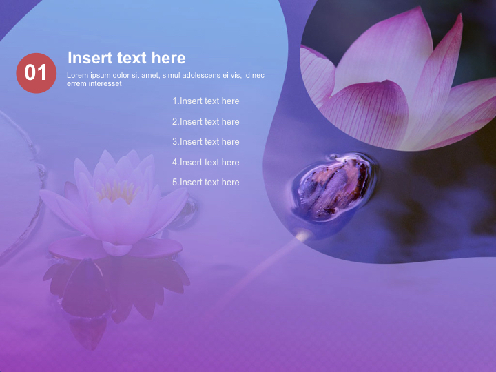 Free Business Keynote Templates - Lotus flower in the lake