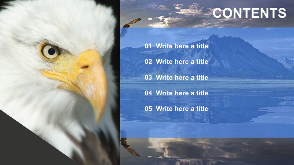 Eagle - Free Keynote|Slides