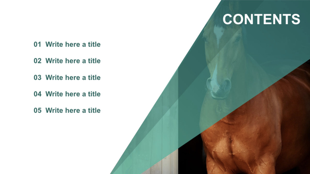 Free Images for Presentations - Horse Riding Club|Keynote|Slides