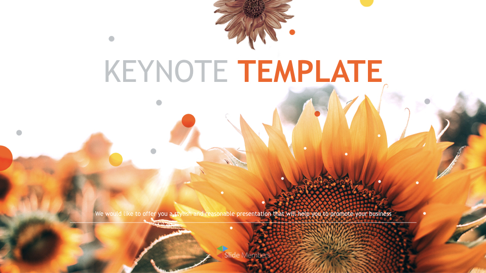 Free Presentation Templates - Sunflower|Keynote|Slides